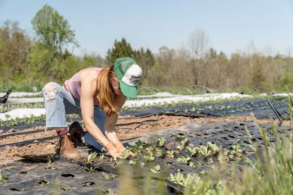Ultimate Guide to WWOOFing: Organic Farming, Volunteer Travel & Tips